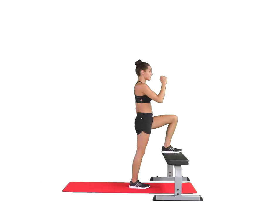 Step Up Exercise Machine